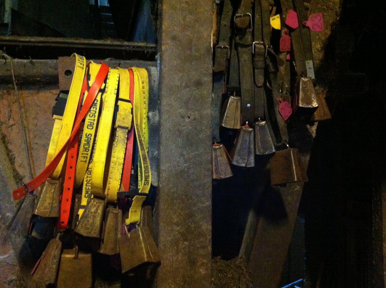 Godaan - JungleKey.in Image