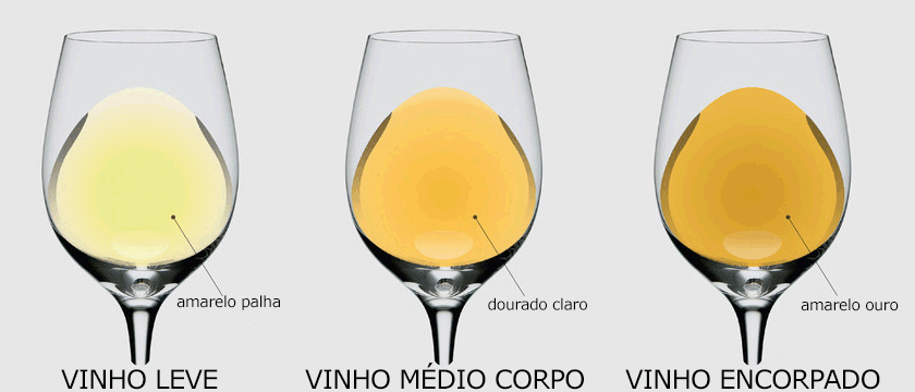 Vinhos | Gastronomia | Viagens - o lado cor de vinho da vida: As Cores ...