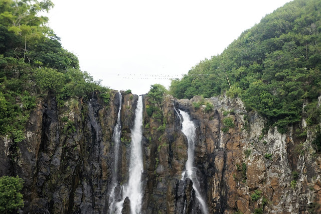 FRANCOISE UNE LORRAINE A LA REUNION: CASCADE NIAGARA à STE-SUZANNE (4/5 ...