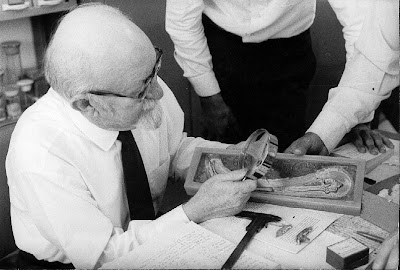 Museo Nacional de Buenos Aires;Nacional de Historia Natural, Museo ...