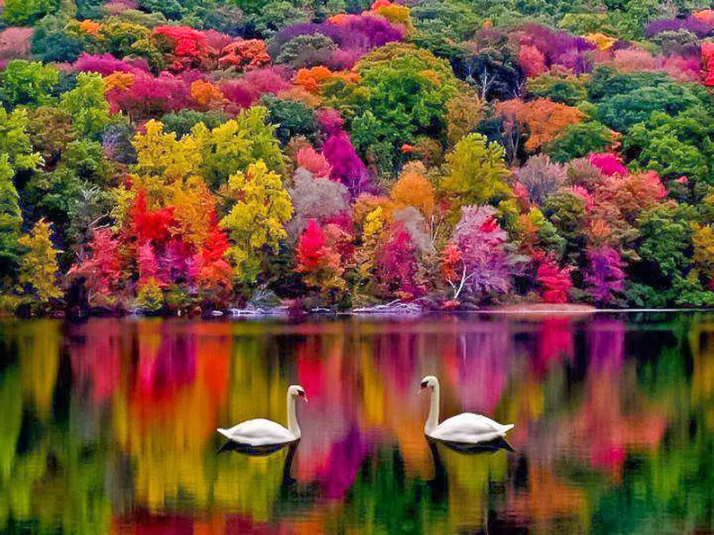 Chuck's Fun Page 2: That's some really neat photography