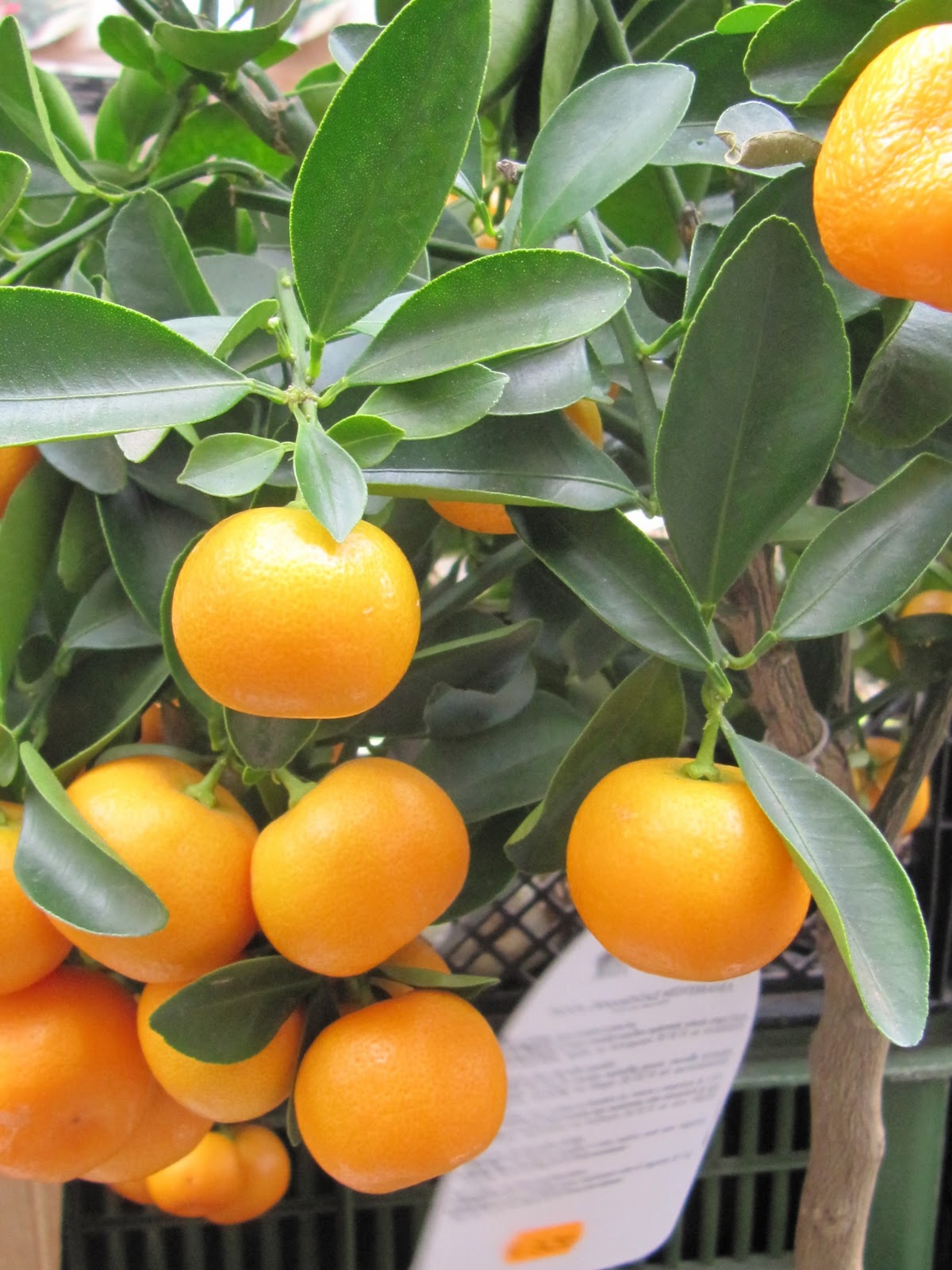 Project Project: September 2011