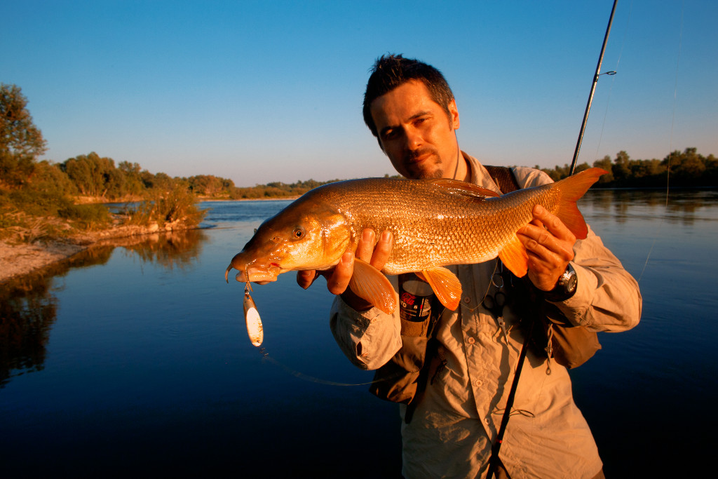 Fishing In Croatia (and in the neighbourhood): Big barbel spin fishing ...