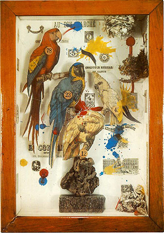 Down and Away: Joseph Cornell Artwork