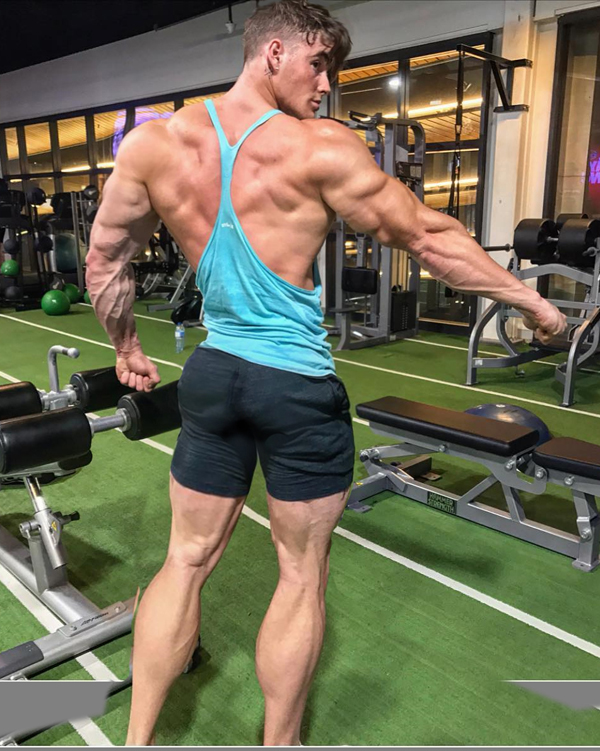 BUILT by tallsteve: Outstanding Back