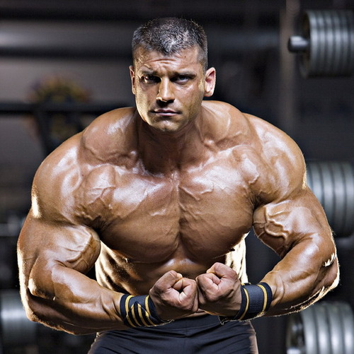 AdonisMale Blog: Hunks of Adonis