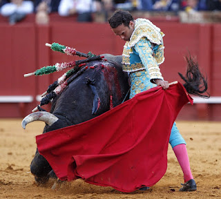 Todos a los Toros: 'Eso que se puede hacer con un toro'