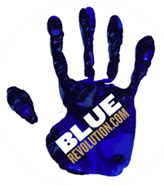 Aleja's English's Blog: A BLUE REVOLUTION