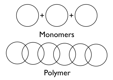 Chemistry Reflection: Polymers, Polymers, and More Polymers! (Polymer Lab)