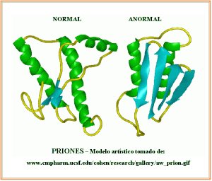 Biologia no ensino médio: 3º ano - aula 8 - PRIONS