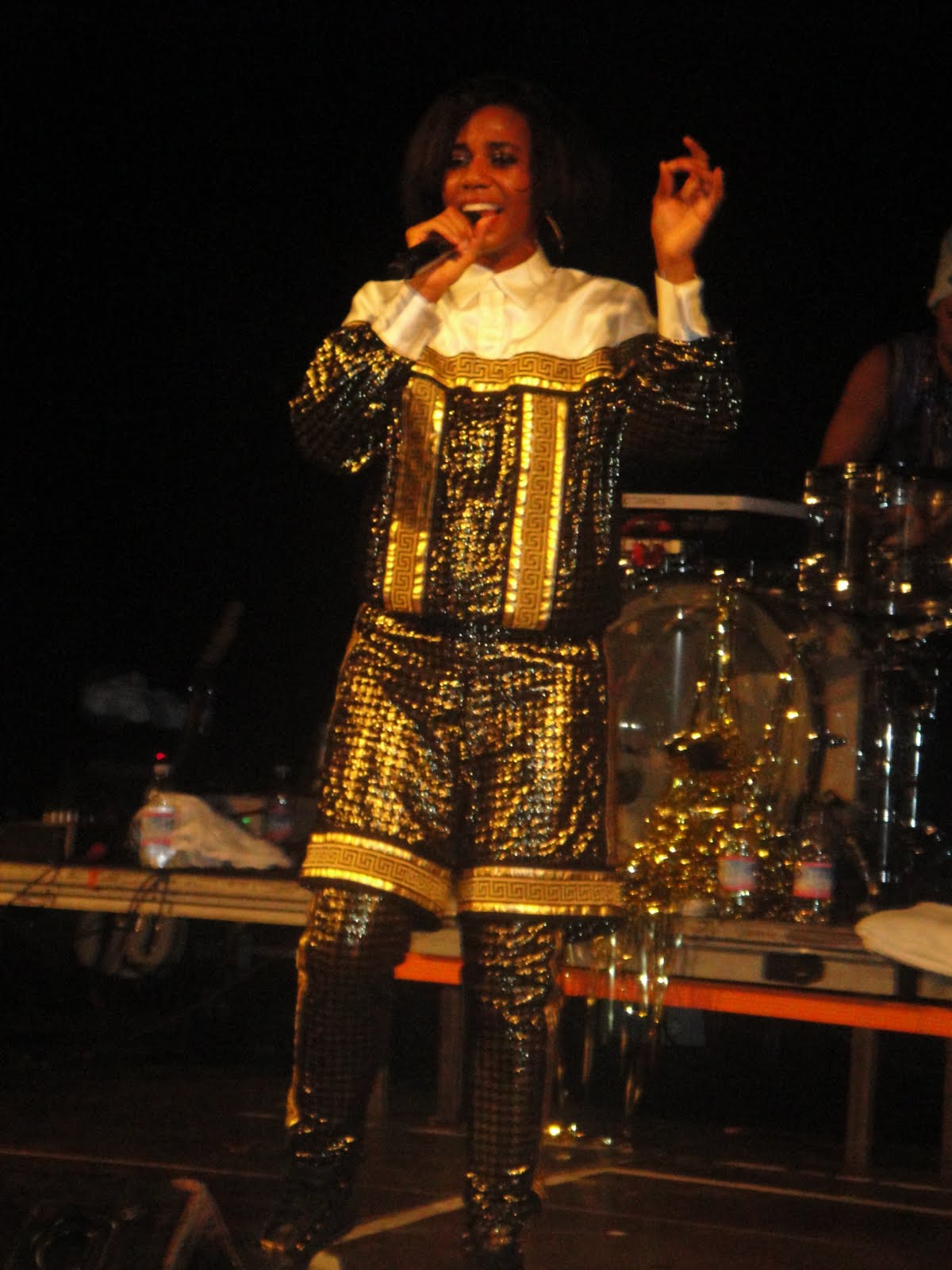 kalevblack: Santigold