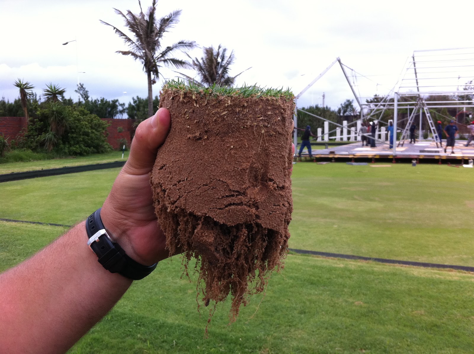 Durban Country Club Golf Course: The Old DCC paspalum greens vs. The ...