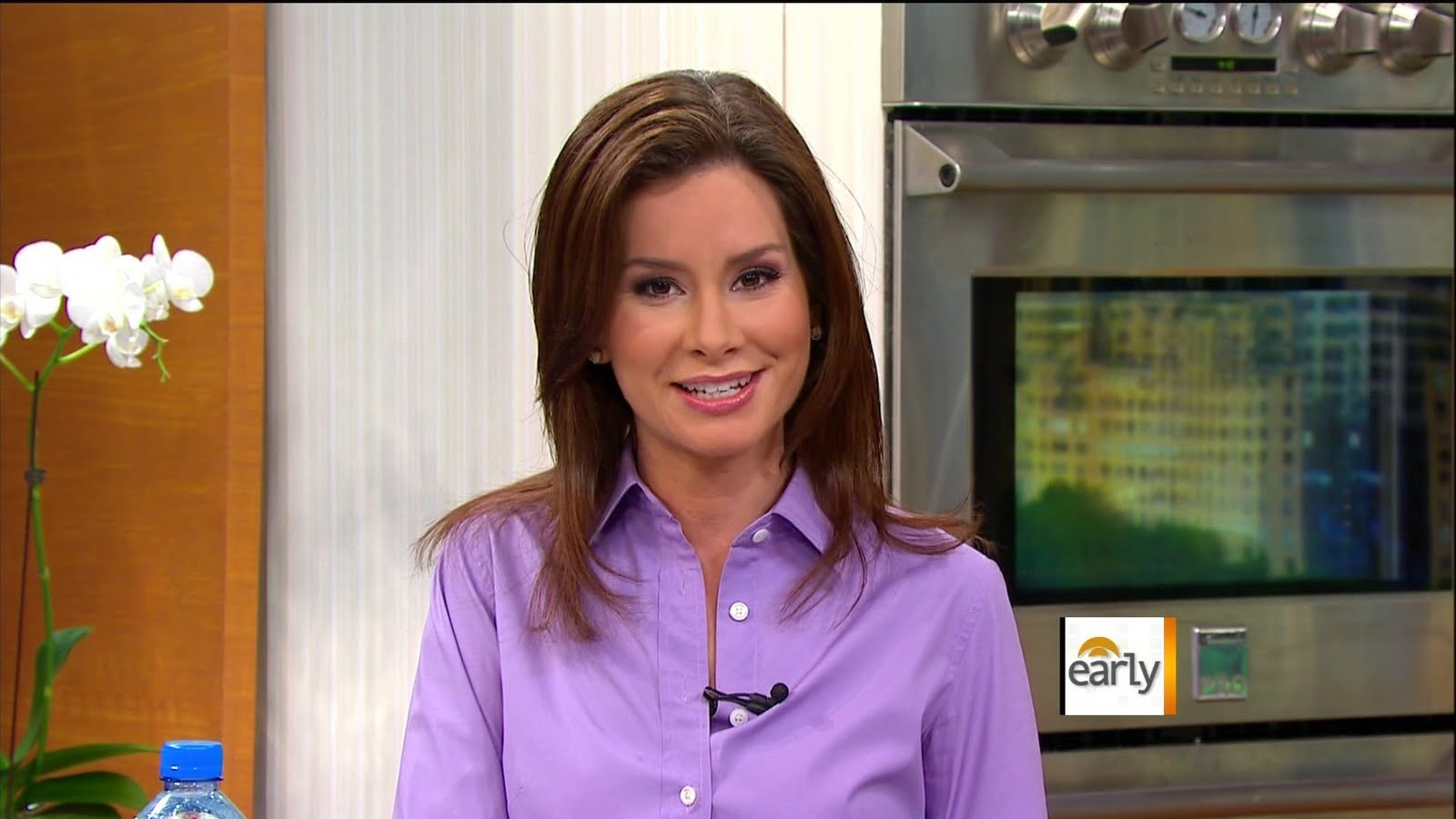 Ladies in Satin Blouses: erica hill - purple blouse