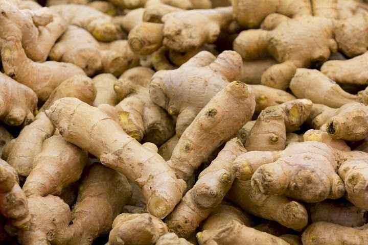 JURAGAN JAHE ORGANIK