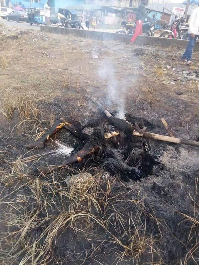 Photo: Woman disguised as a lunatic set ablaze in Delta State after she ...