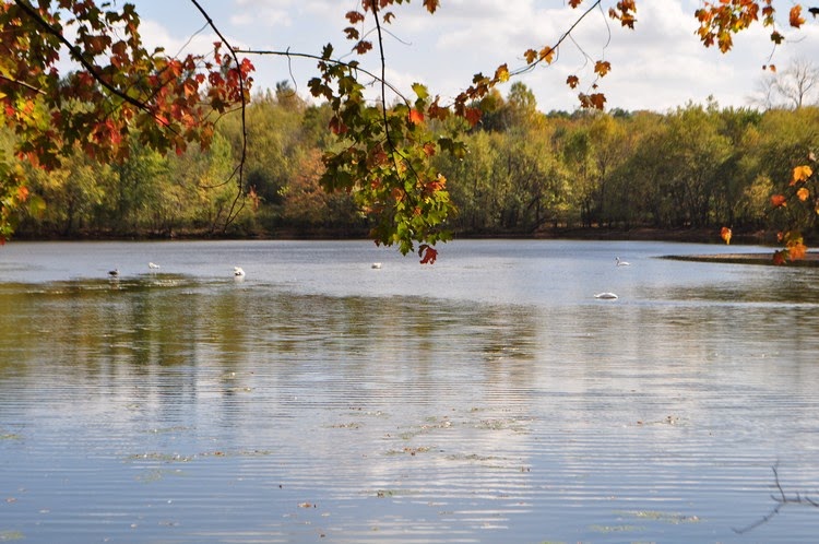 Harriman Hiker: Harriman State Park and Beyond: Lake Henry, Continental ...