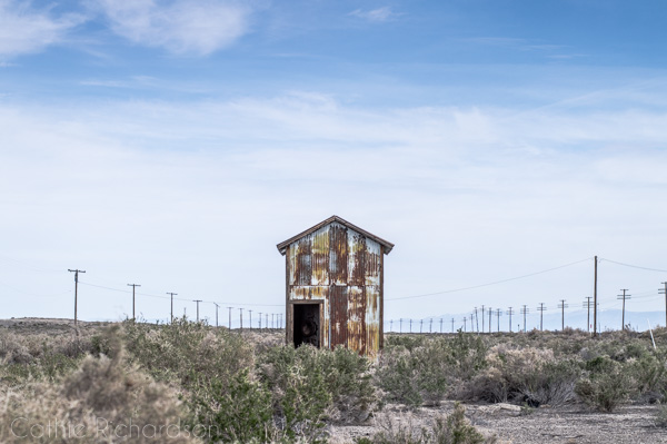 Hazen Nevada Afternoon Photo Walk