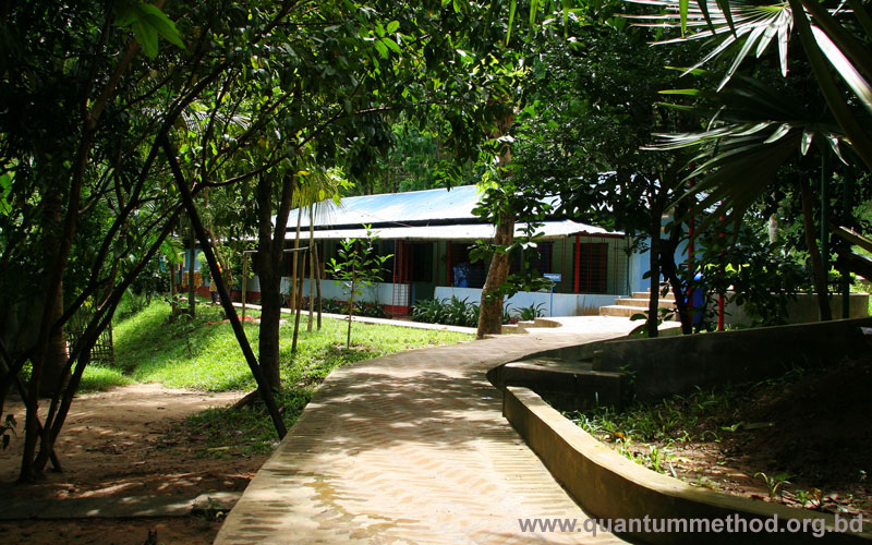 Quantum Method The Science of Living