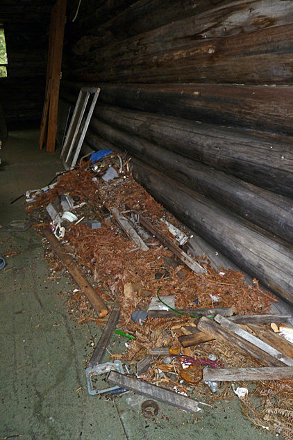 Camera Trap Codger: 2012