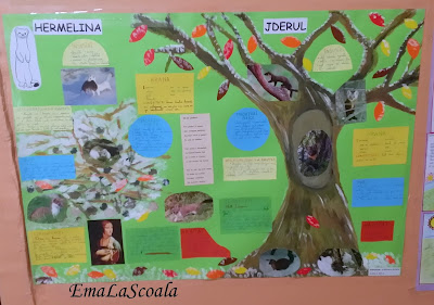 Proiect la stiintele naturii - animale