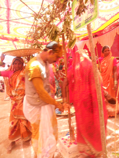 GONDMAHASABHA: GOND SAMAJ ME SAMUHIK SAMAJIK VIVAH