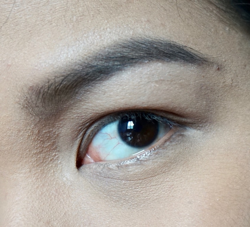 Essence Little Brow Monsters Collection Review + Price + Swatch