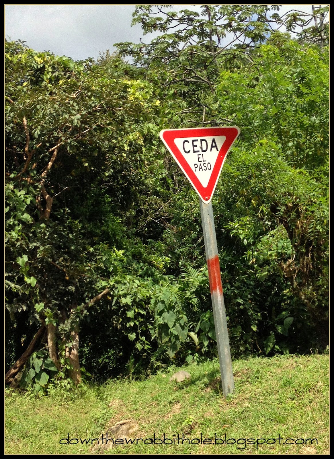 Down the Wrabbit Hole - The Travel Bucket List: What to Expect on a ...