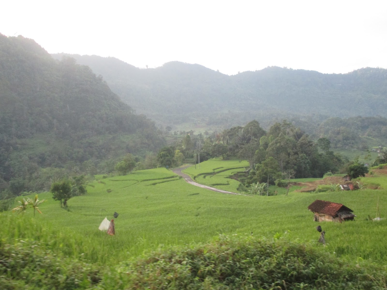 PERJALANAN CIDAUN - BANDUNG via CIWIDEY : menikmati perjalanan RUTE ...