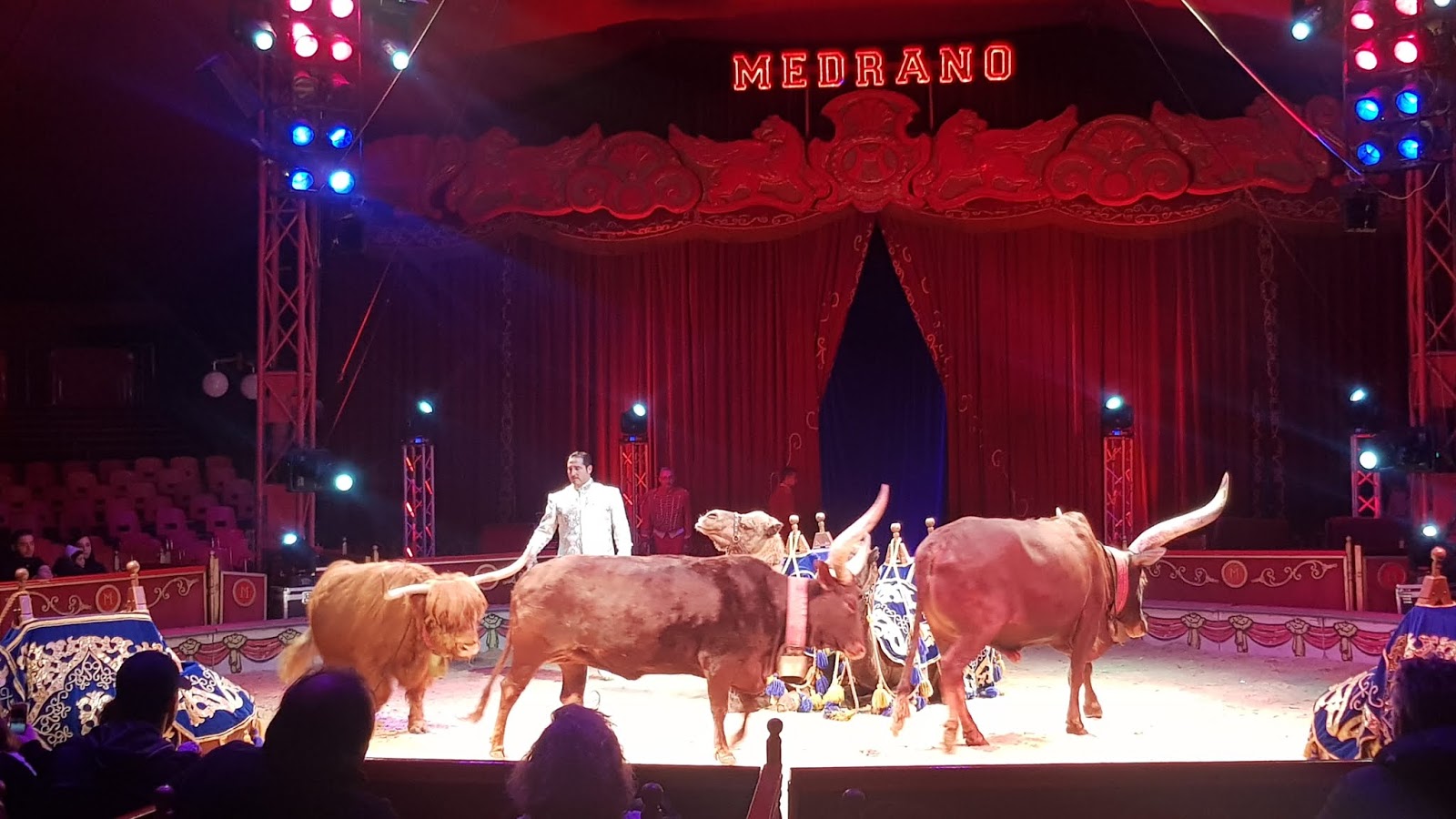 GALLERIE FOTOGRAFICHE: Circo Medrano a Milano (I) | SCXS