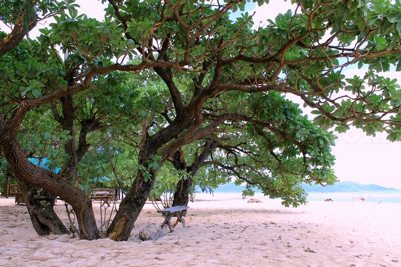 Anguib Beach in Sta. Ana Cagayan - "Braving the Waves of the Pacific to ...