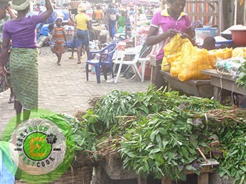 iFoodS - Initiative for Food Safety: MAKOKO FISH MARKET - Sharks ...