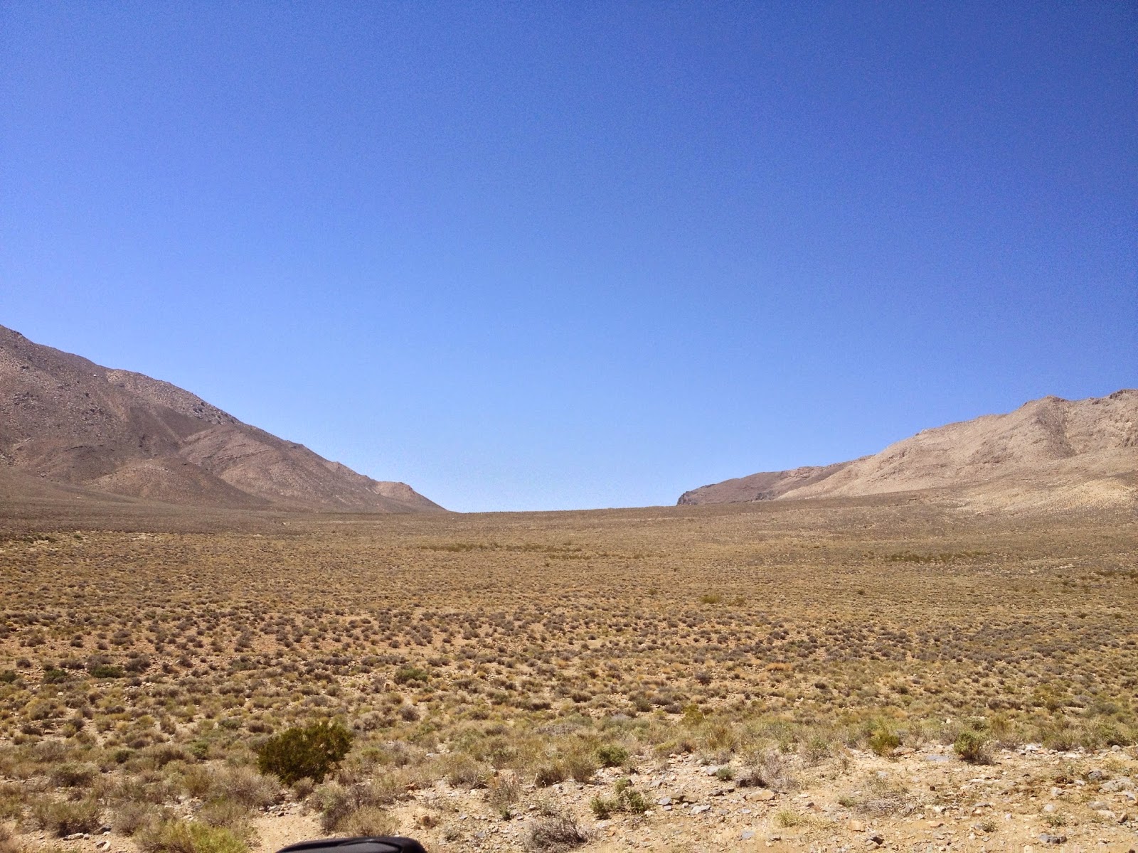 Exploring and Informing: Striped Butte Fossils and Spring Flora