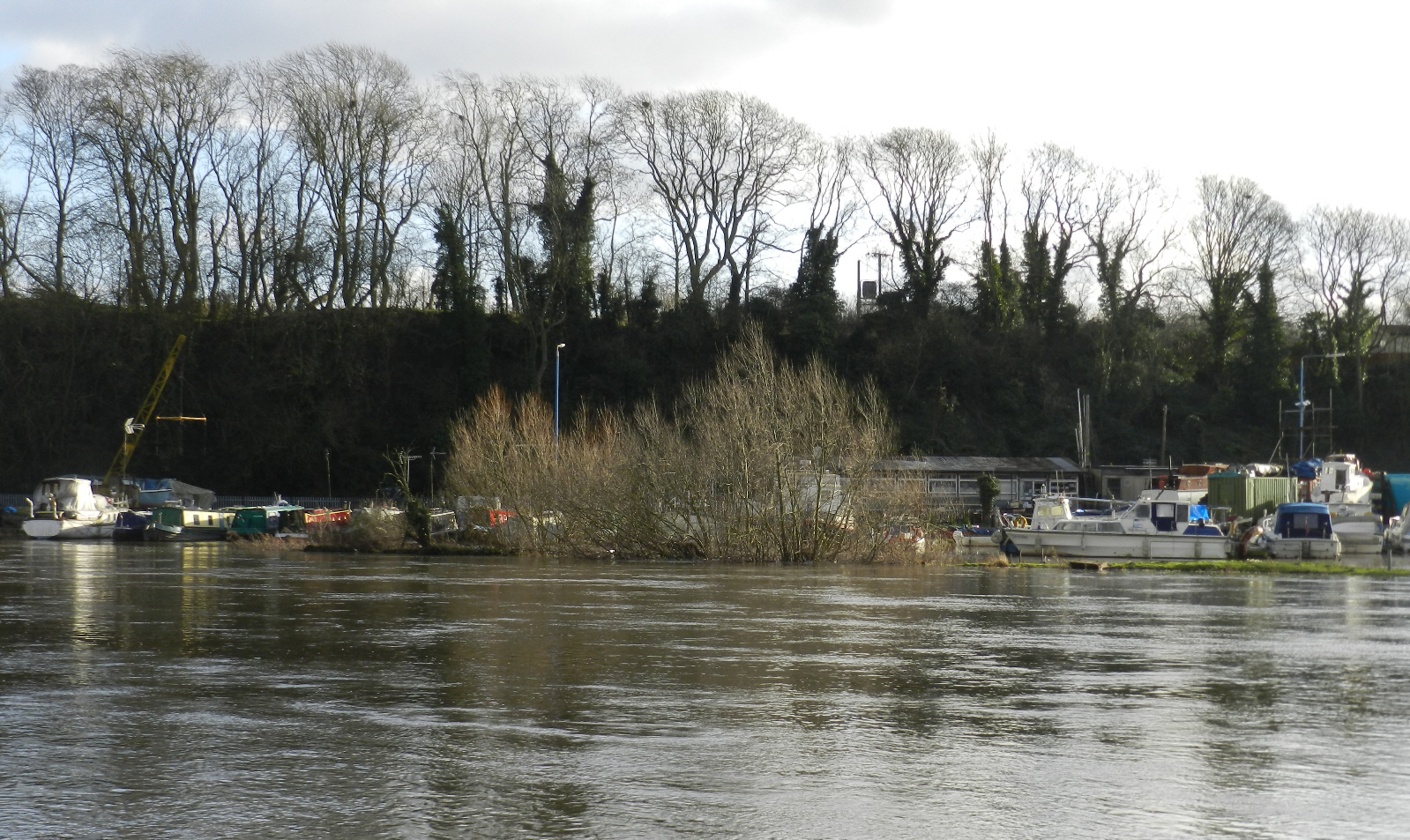 Burton Joyce Blog: New Years Day 2013 Trentside/Gunthorpe Lock