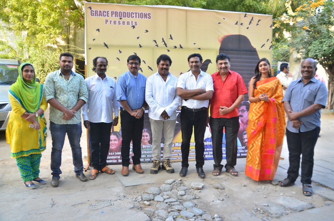 Ayesha Movie Opening Stills - Latest Movie Updates, Movie Promotions ...