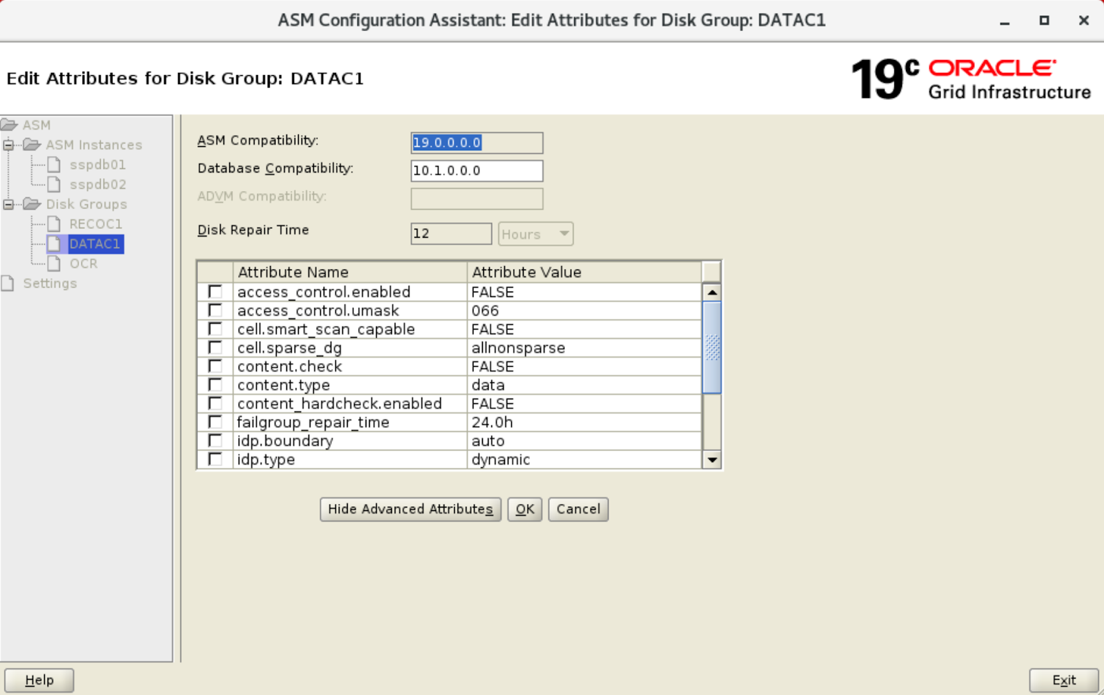 Jaffar S Mr Rac Oracle Blog Oracle 19c Asmca Interface