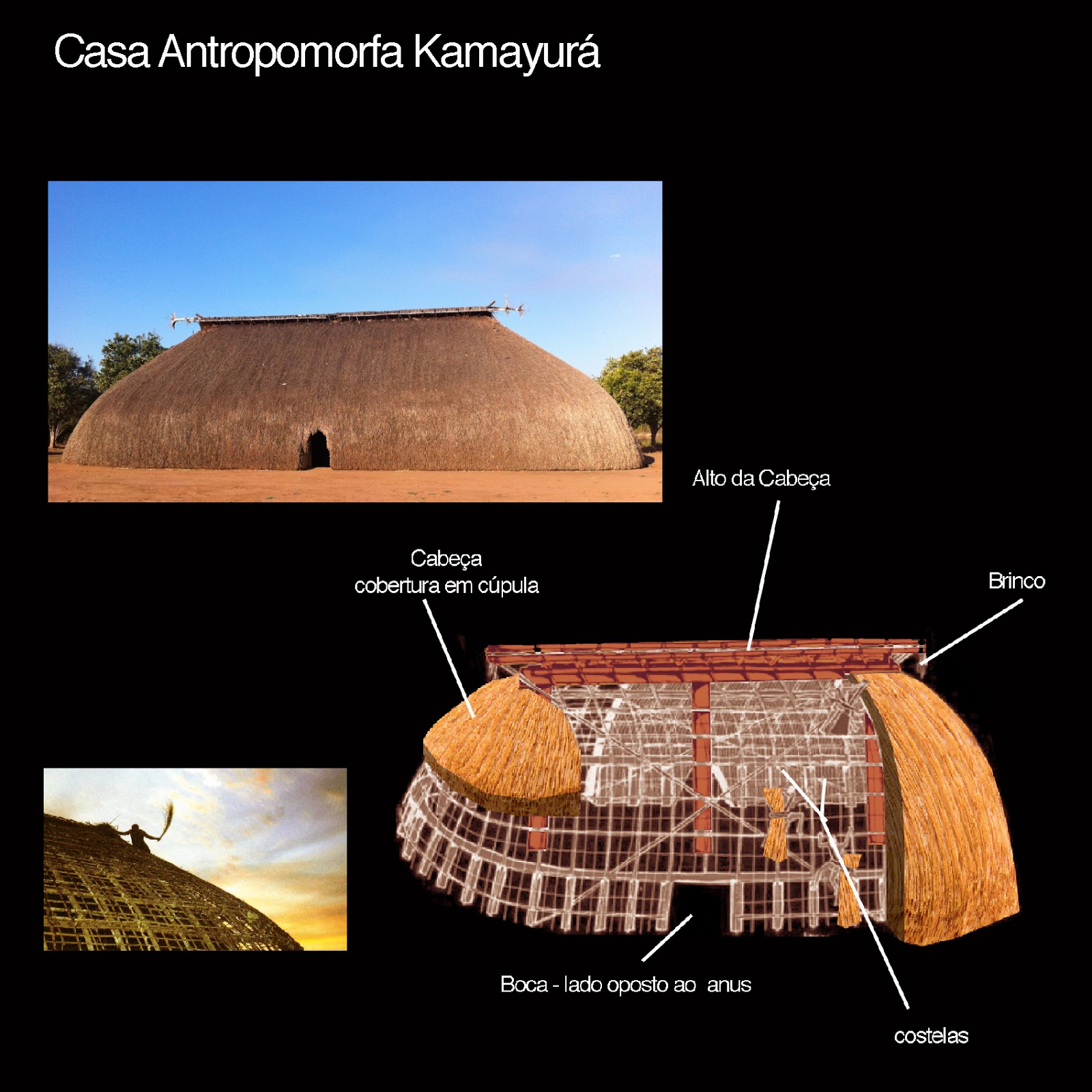 Povos Indígenas Brasileiros: Kamayurá