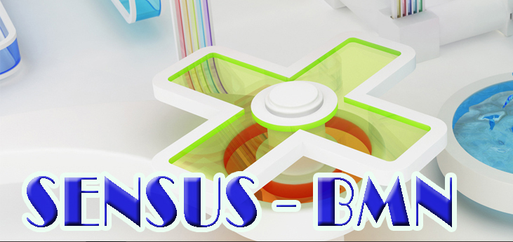 Aplikasi Sensus BMN Kemenkeu 2013