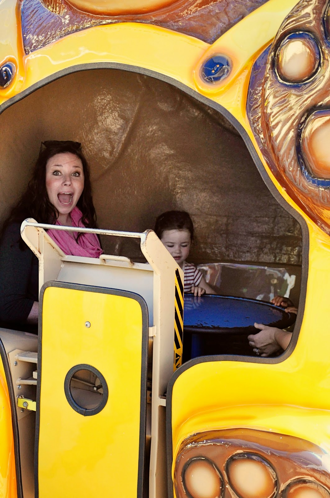 Team Shep Blog: State Fair 2014