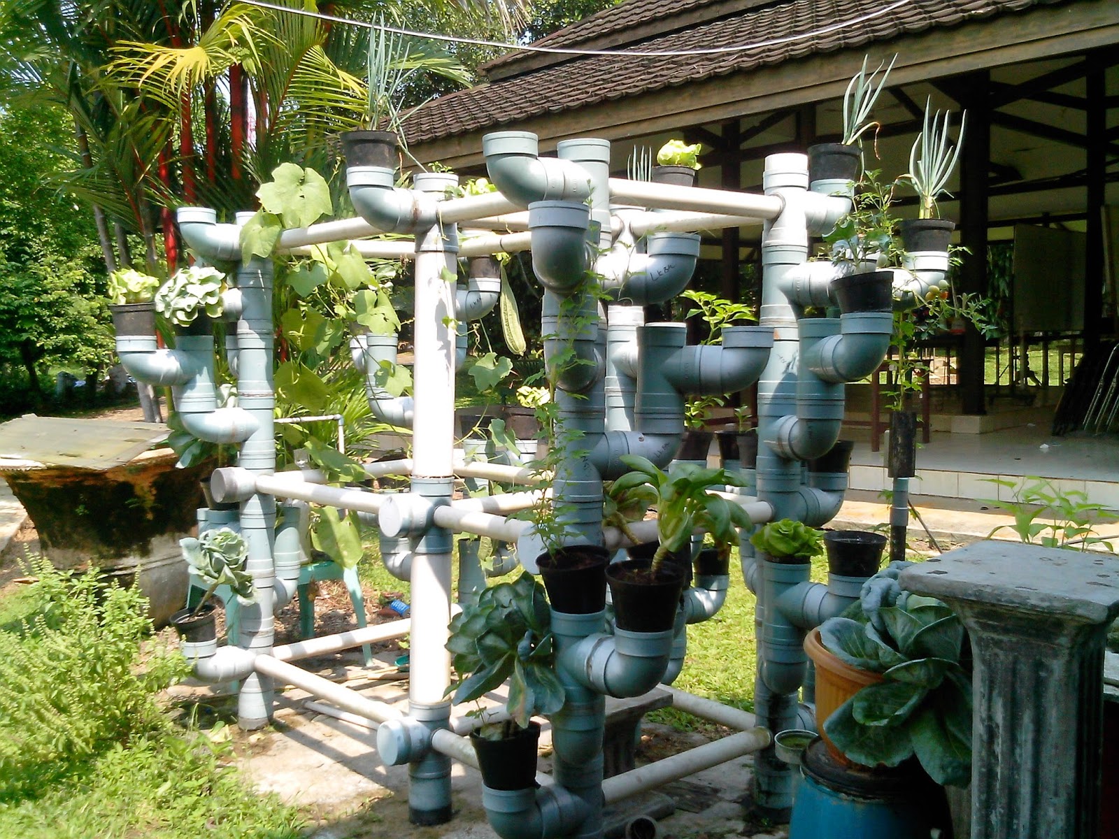 Writing is healing!: Berkunjung ke Parung Farm