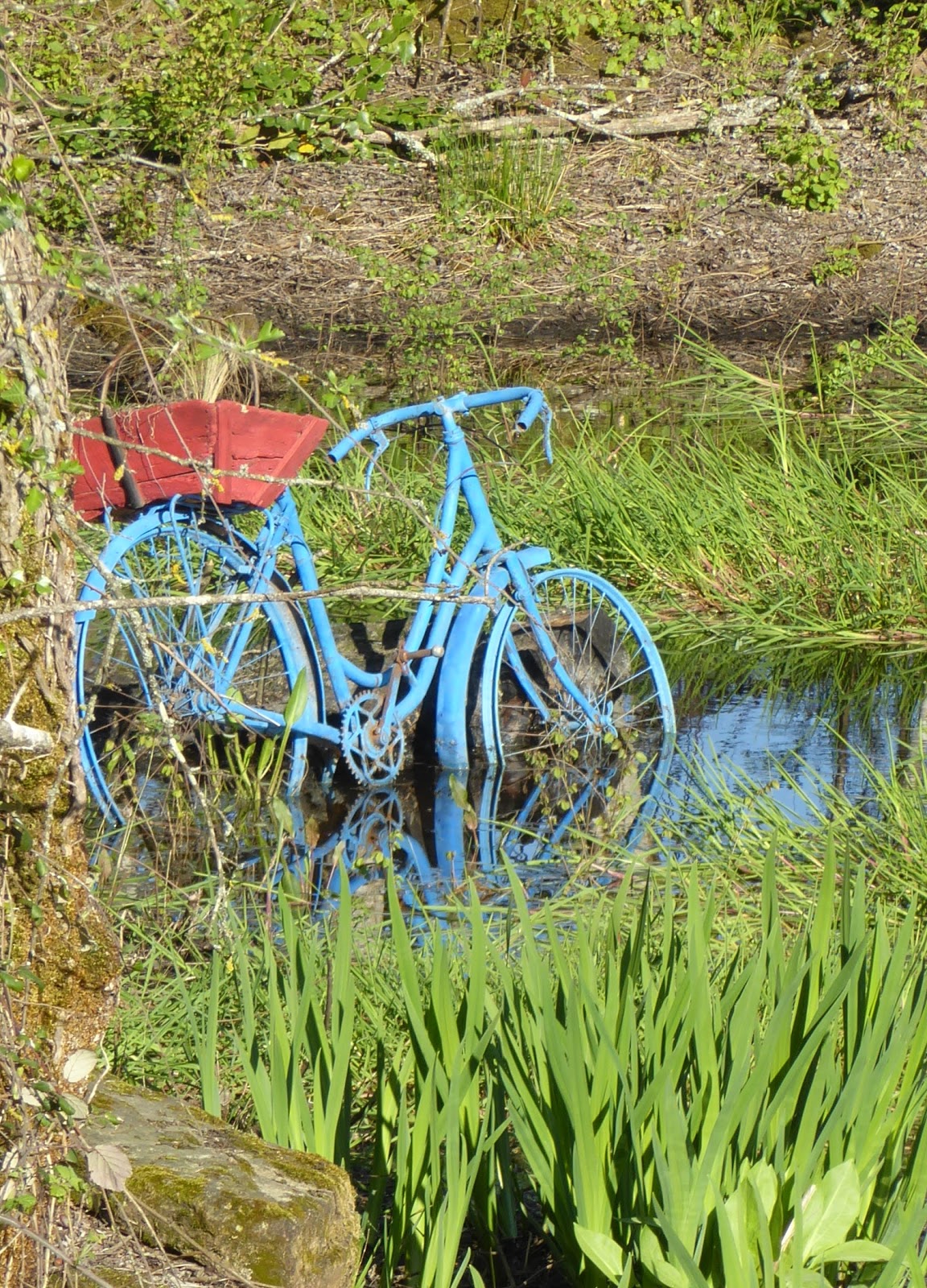 Susan Here There and Everywhere: Bicycle in the Pond