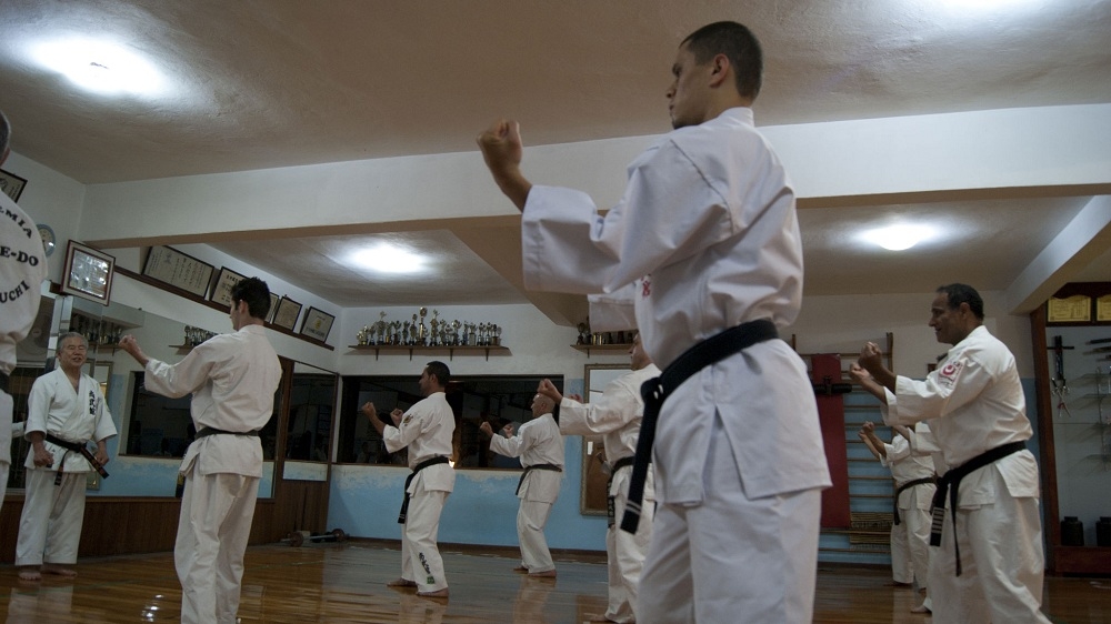 Okinawa Karate-do Goju-Ryu: GOJU RYU UMA ARTE FANTÁSTICA