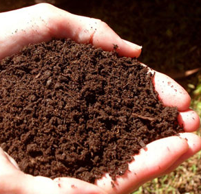 Pengertian, Fungsi, Manfaat, Jenis Dan Ciri-Ciri Tanah Beserta 3 Proses ...