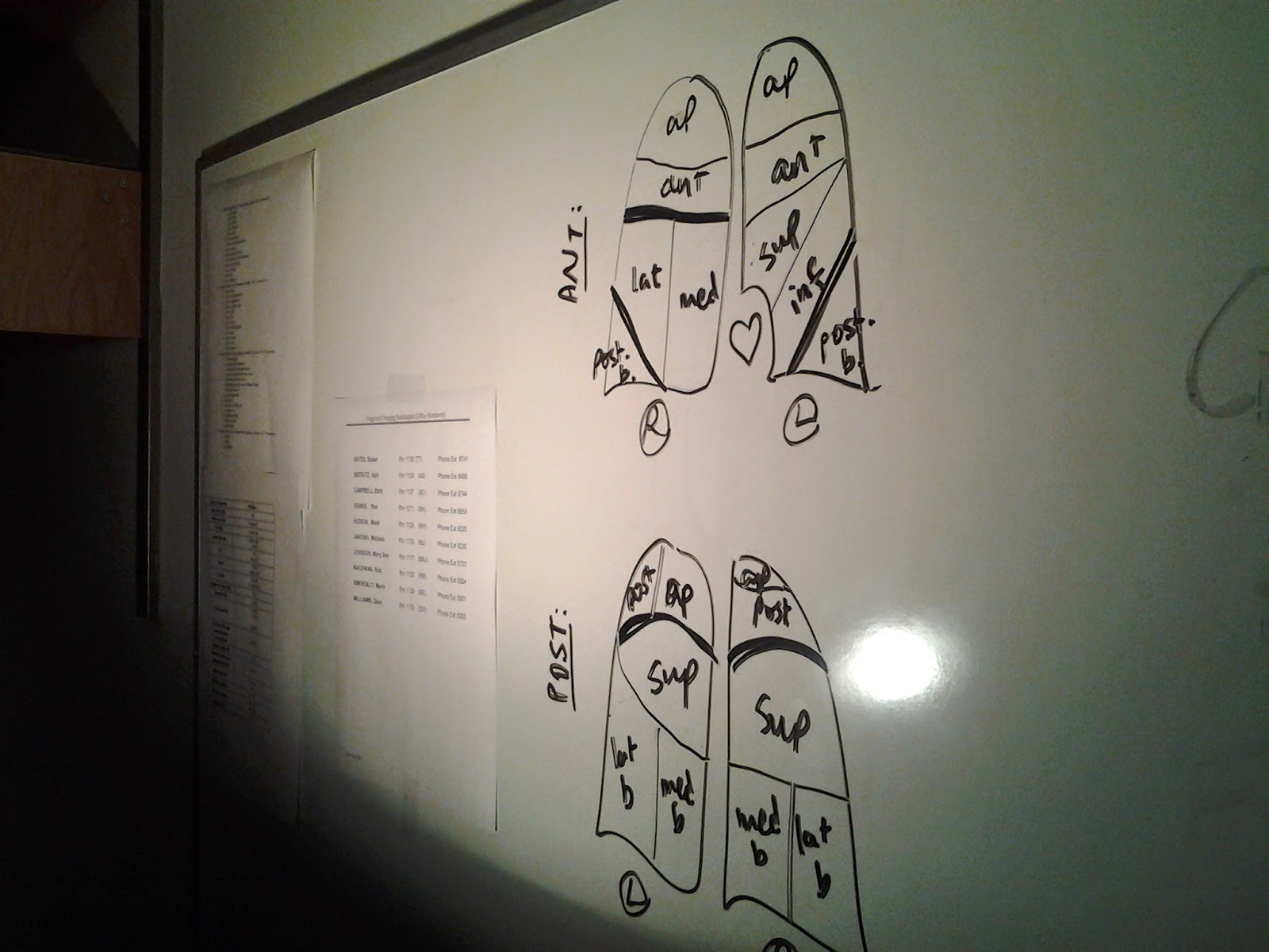 Winding Spiral Case: How To Study: Quizzing Yourself