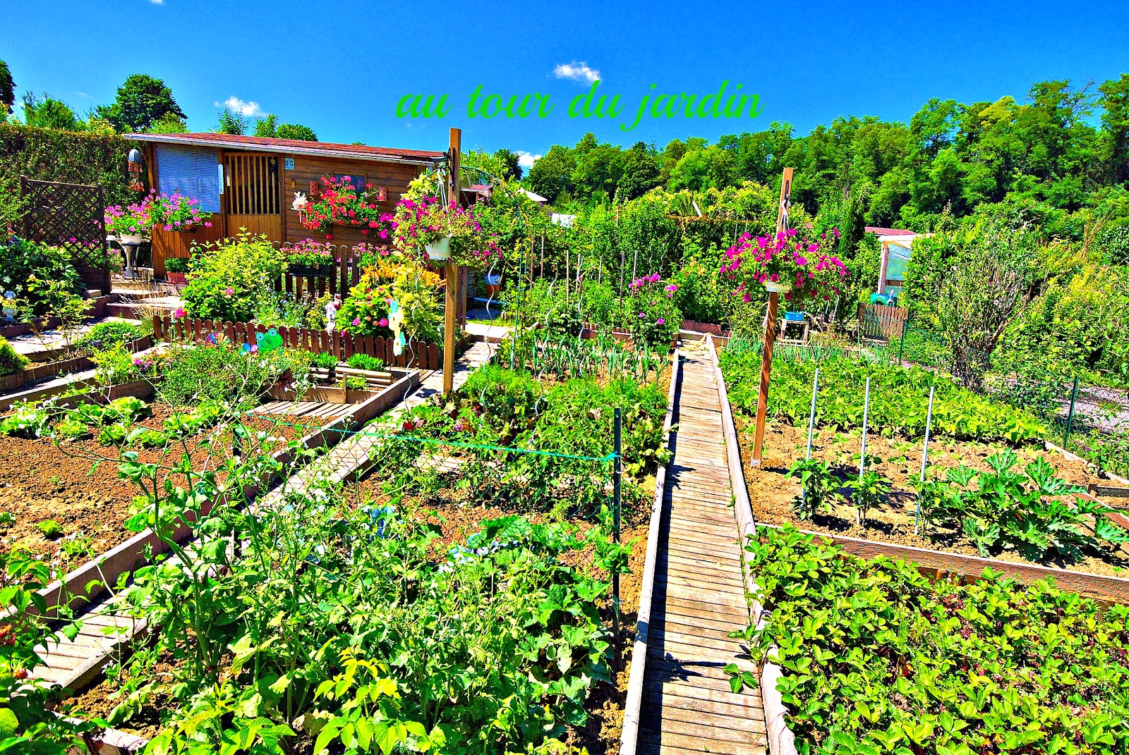 10 règles pour réussir votre potager