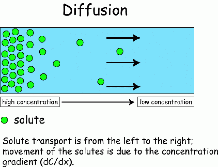 ชีววิทยา: Diffusion and osmosis (English Language) Diffusion and osmosis