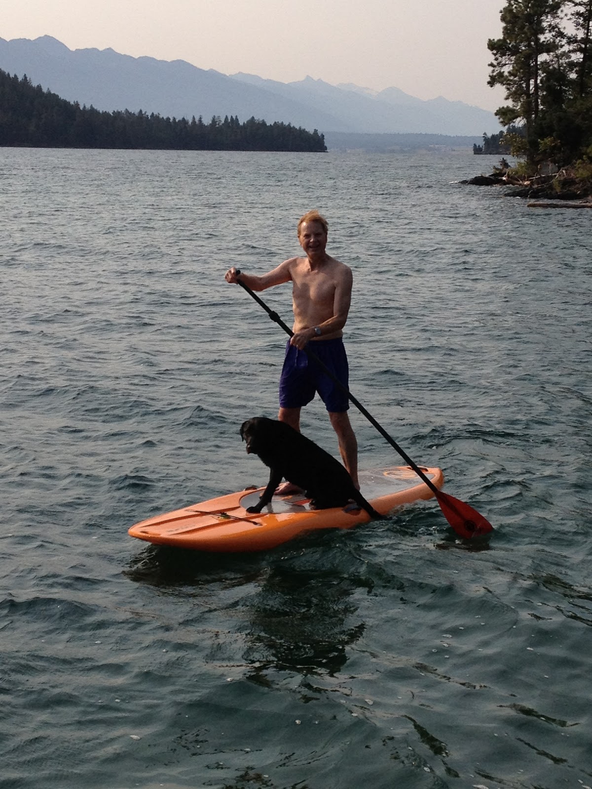 coffee with a canine: Peter Rork & Doyle