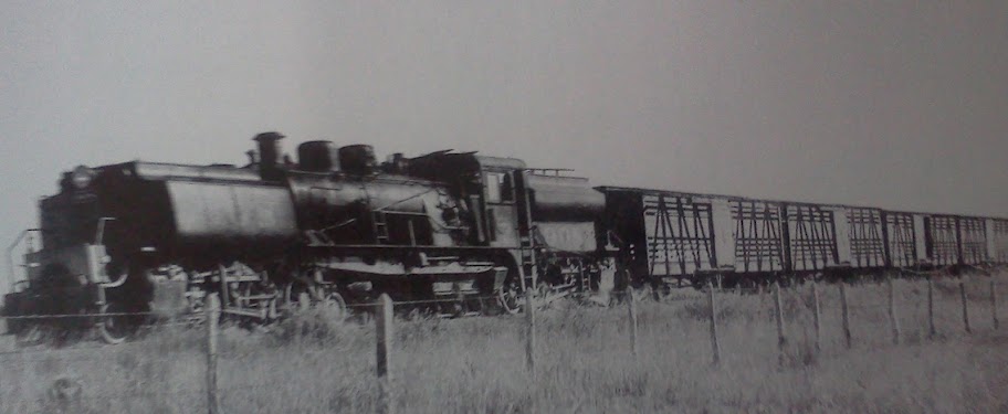 Mestre Ferroviário: As locomotivas "Garratt"