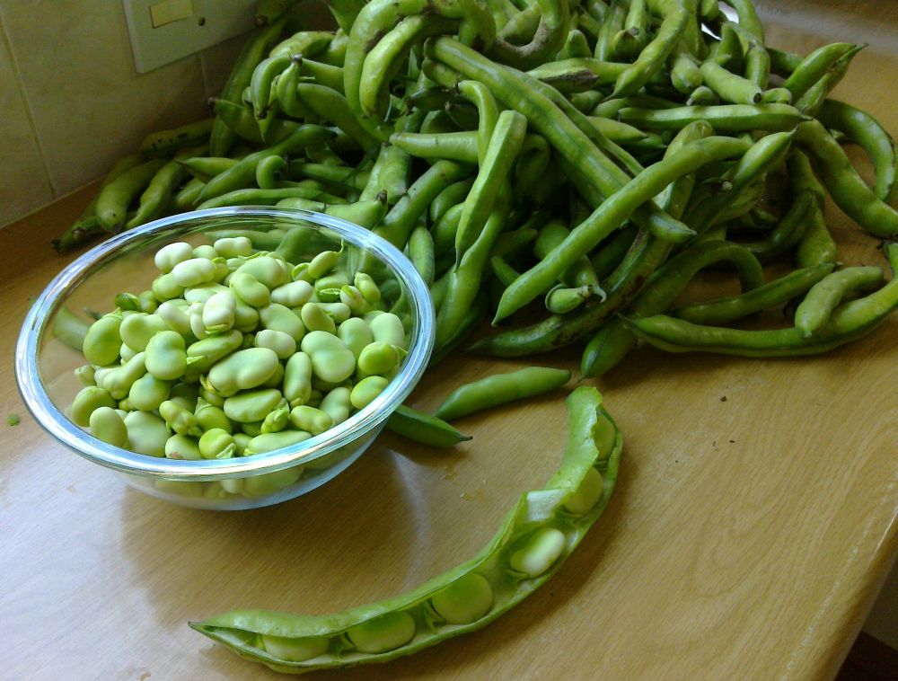 Eco Footprint ~ South Africa: Leave it to Mother Nature