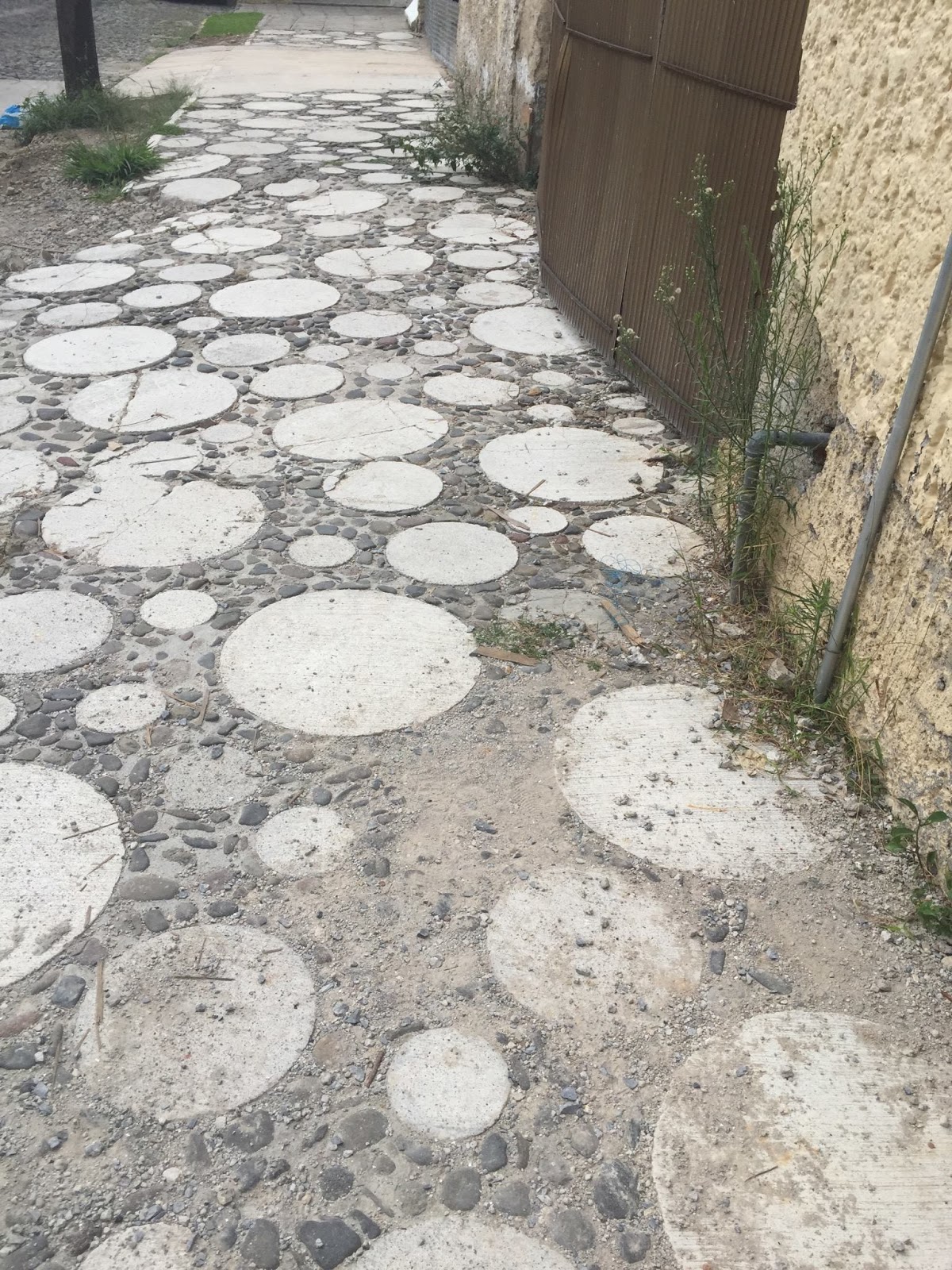 Rachel Writes from the West Coast: Lost