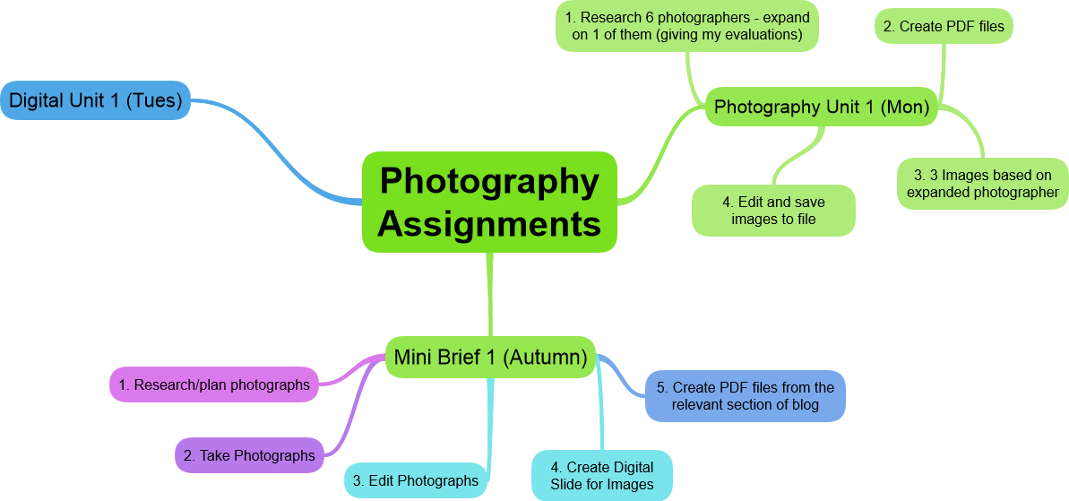 Trish Molyneaux - Access to H E Diploma Photography: Mind map and GANTT ...